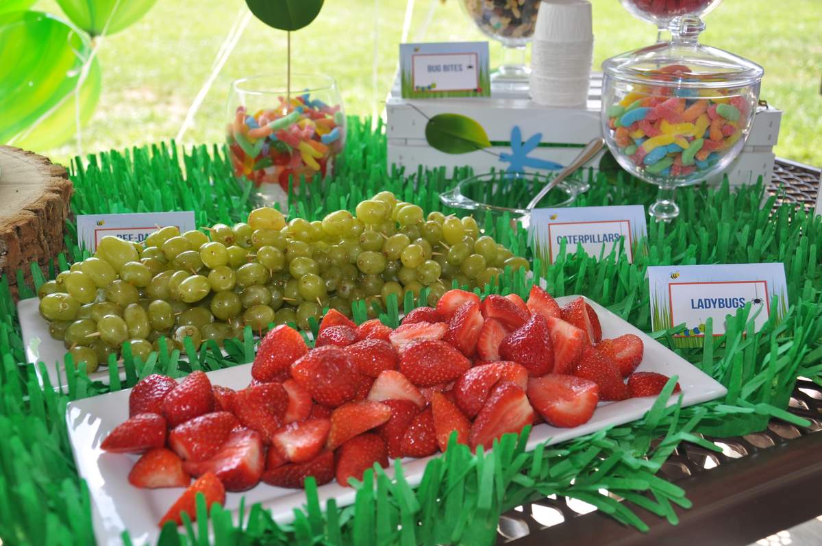 Bugs Birthday Party Ideas | Photo 5 of 25 | Catch My Party