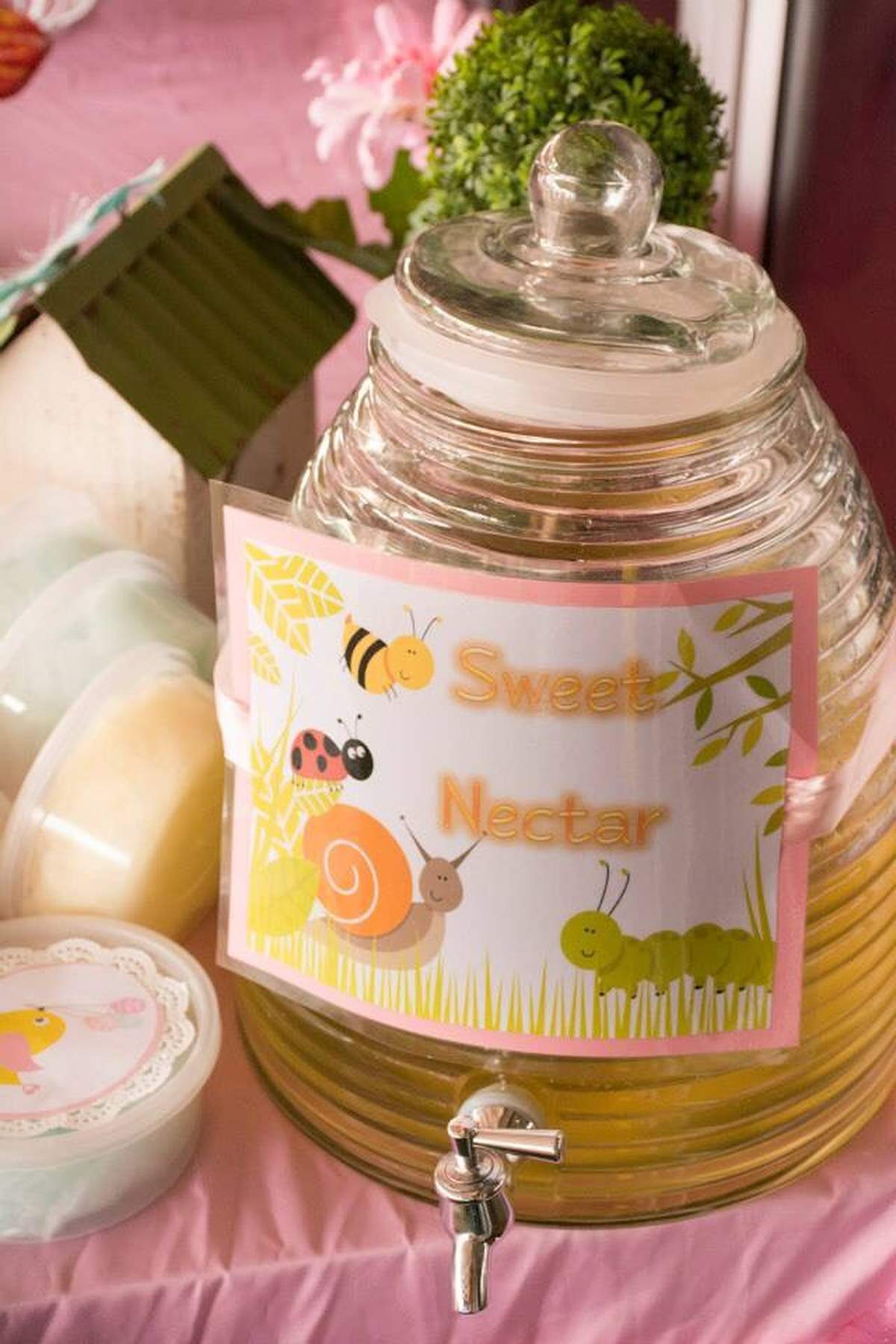 Bugs, butterflies and bees Birthday Party Ideas | Photo 34 of 43 ...