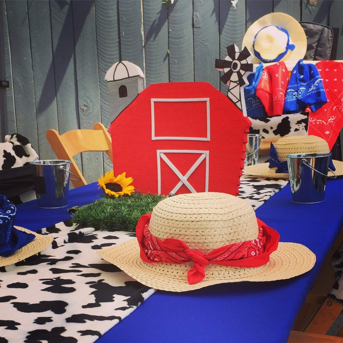 Farm / Birthday "Elijah's Backyard Barn Bash" | Catch My Party