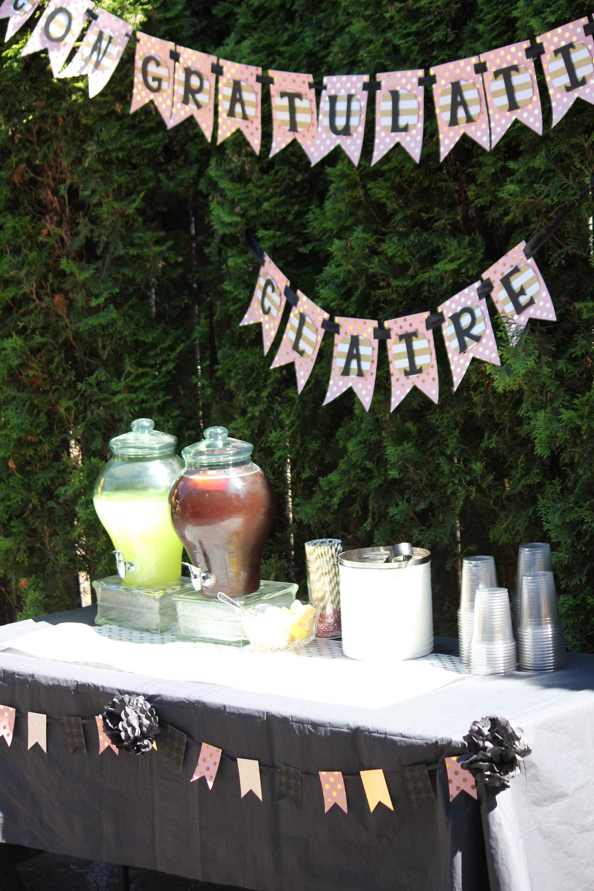 High School Graduation Party Graduation/End of School Party Ideas ...