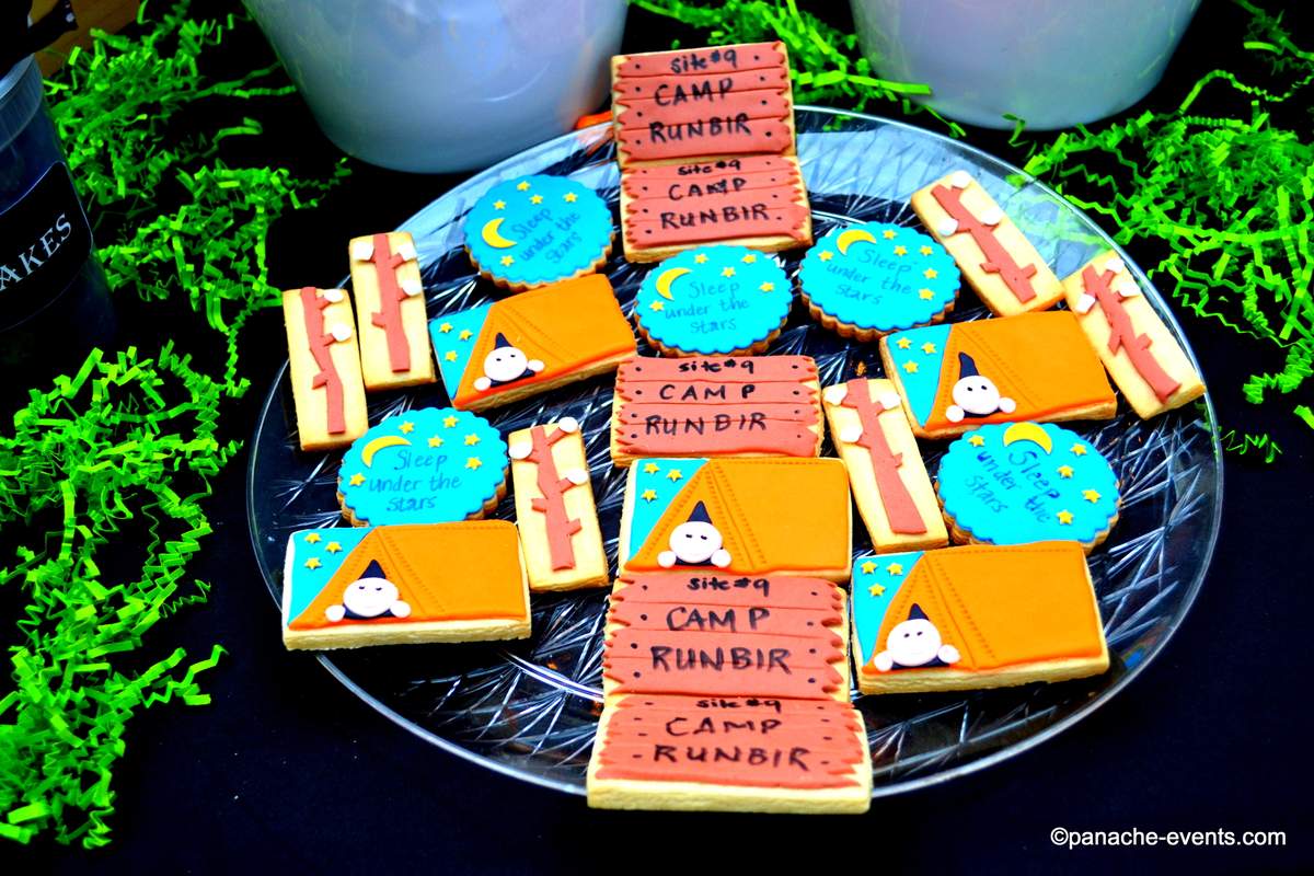 Fall Campout / Sleepover Birthday Party Ideas | Photo 7 of 28 | Catch ...