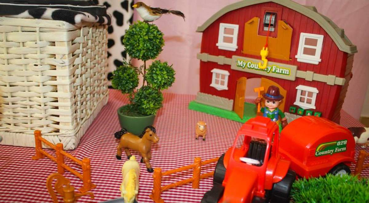 farm/granja Birthday Party Ideas | Photo 12 of 15 | Catch My Party