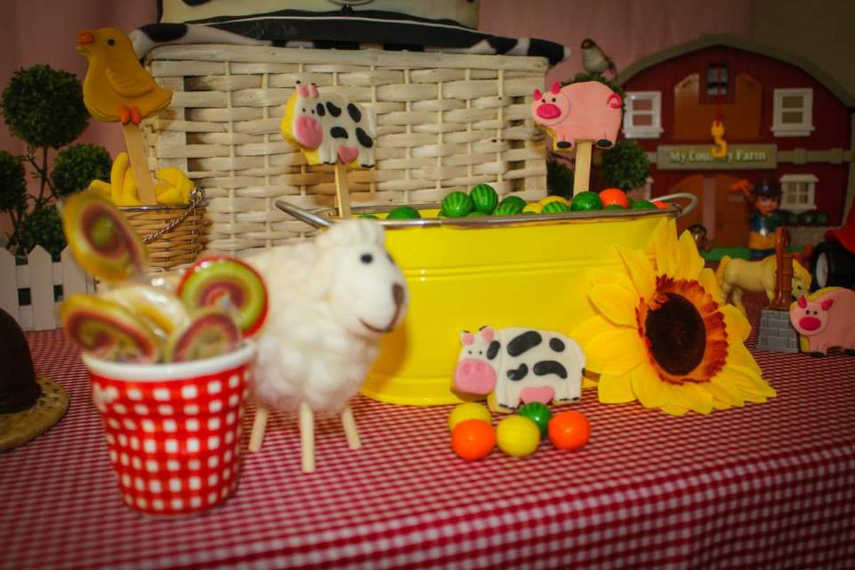farm/granja Birthday Party Ideas | Photo 12 of 15 | Catch My Party