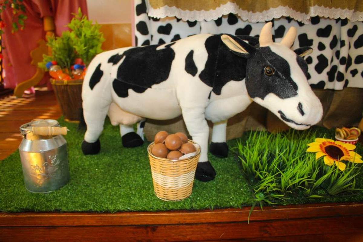 farm/granja Birthday Party Ideas | Photo 12 of 15 | Catch My Party