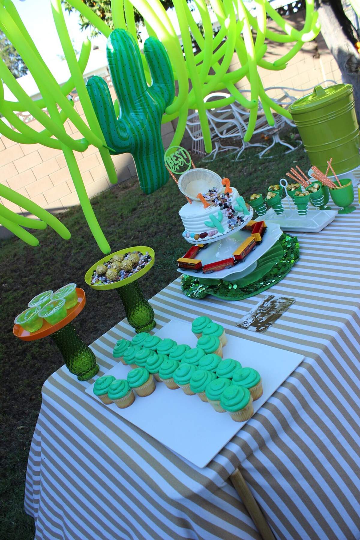 Gold mining cactus Birthday Party Ideas | Photo 21 of 71 | Catch My Party