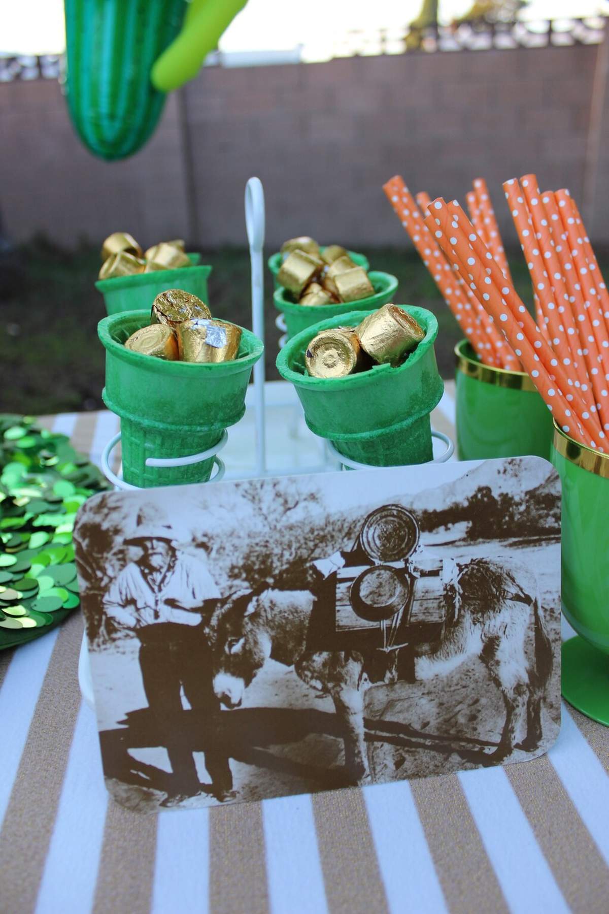 Gold mining cactus Birthday Party Ideas | Photo 21 of 71 | Catch My Party