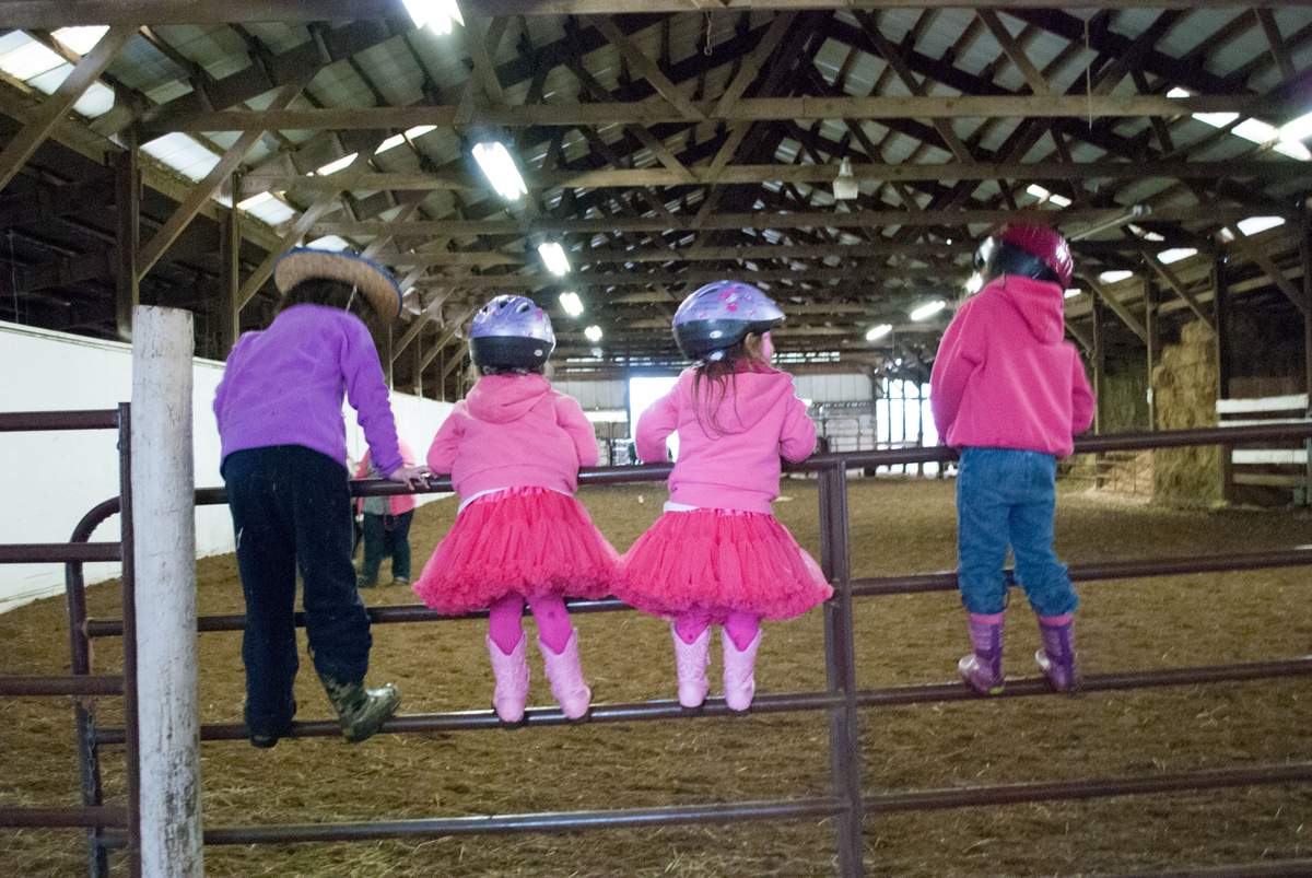 Ponies Birthday Party Ideas | Photo 9 of 12 | Catch My Party