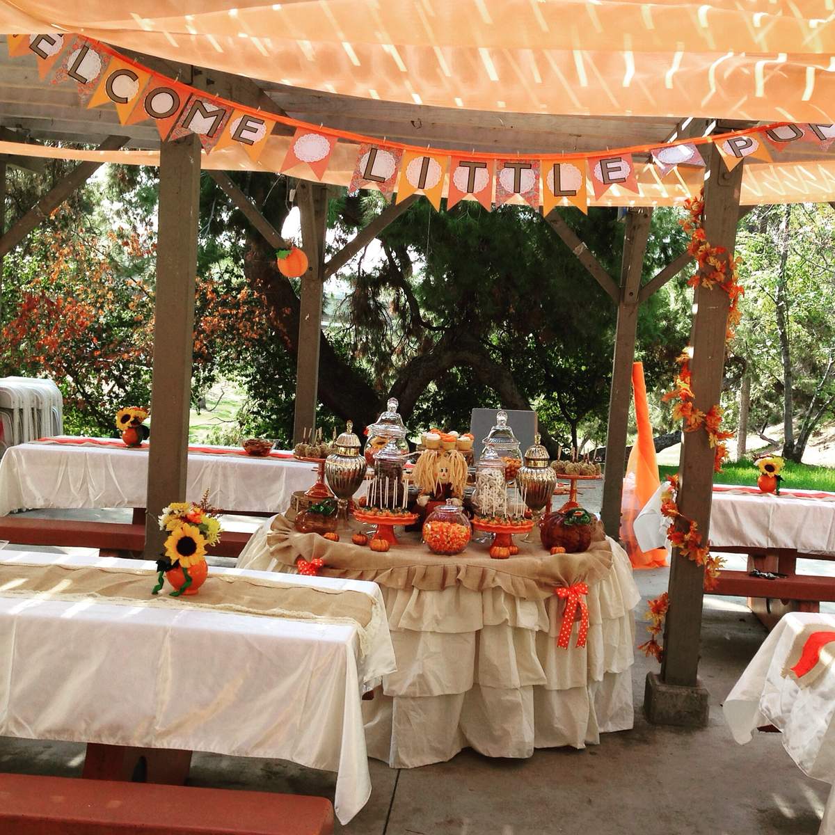 Little Pumpkin Baby Shower Baby Shower Party Ideas | Photo 1 of 11 ...