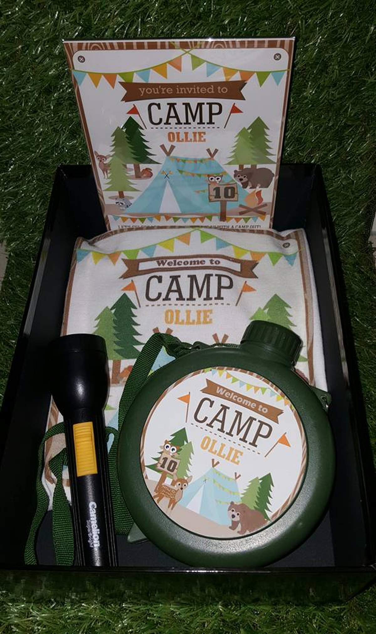 Camp Out Birthday Party Ideas | Photo 14 of 23 | Catch My Party