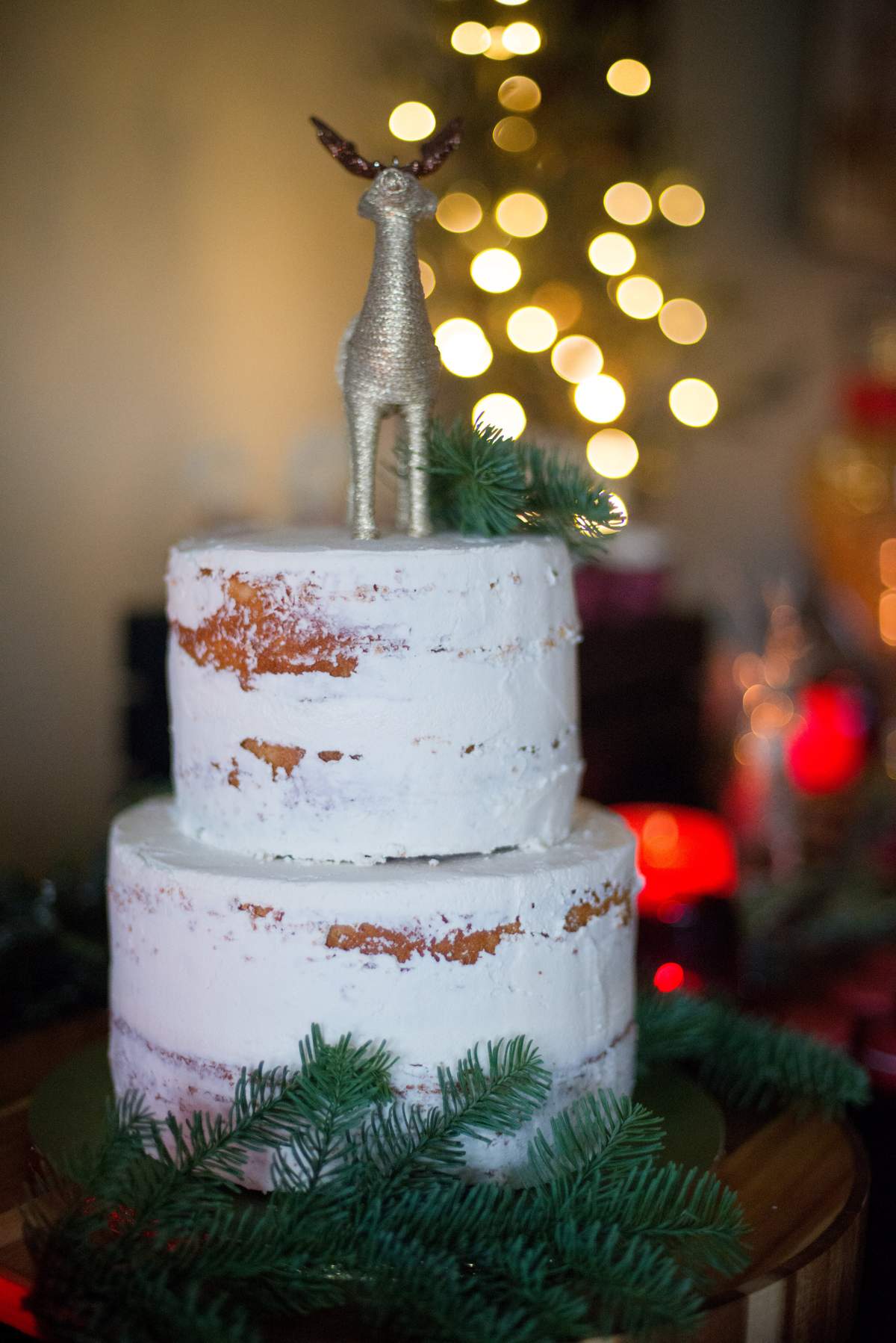 Rustic Holiday Party Christmas/Holiday Party Ideas | Photo 8 of 159 ...