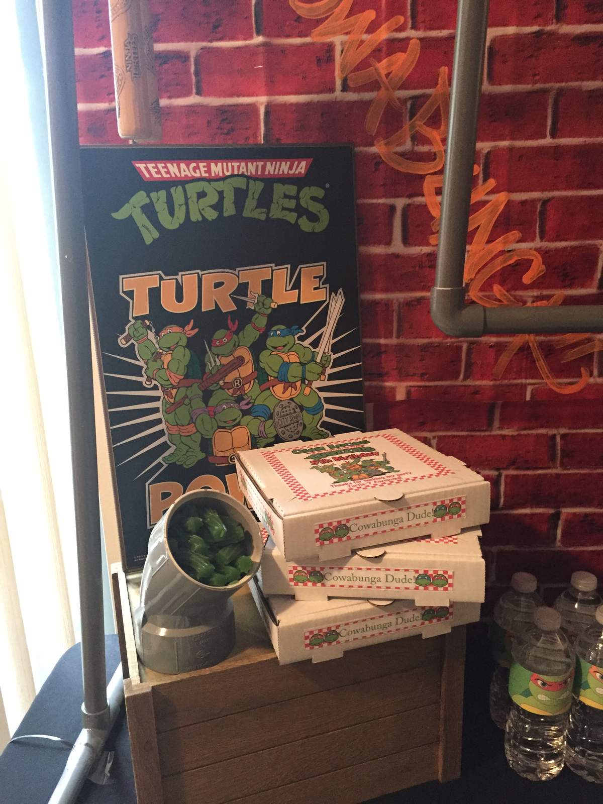 TMNT Birthday Party Ideas | Photo 9 of 14 | Catch My Party