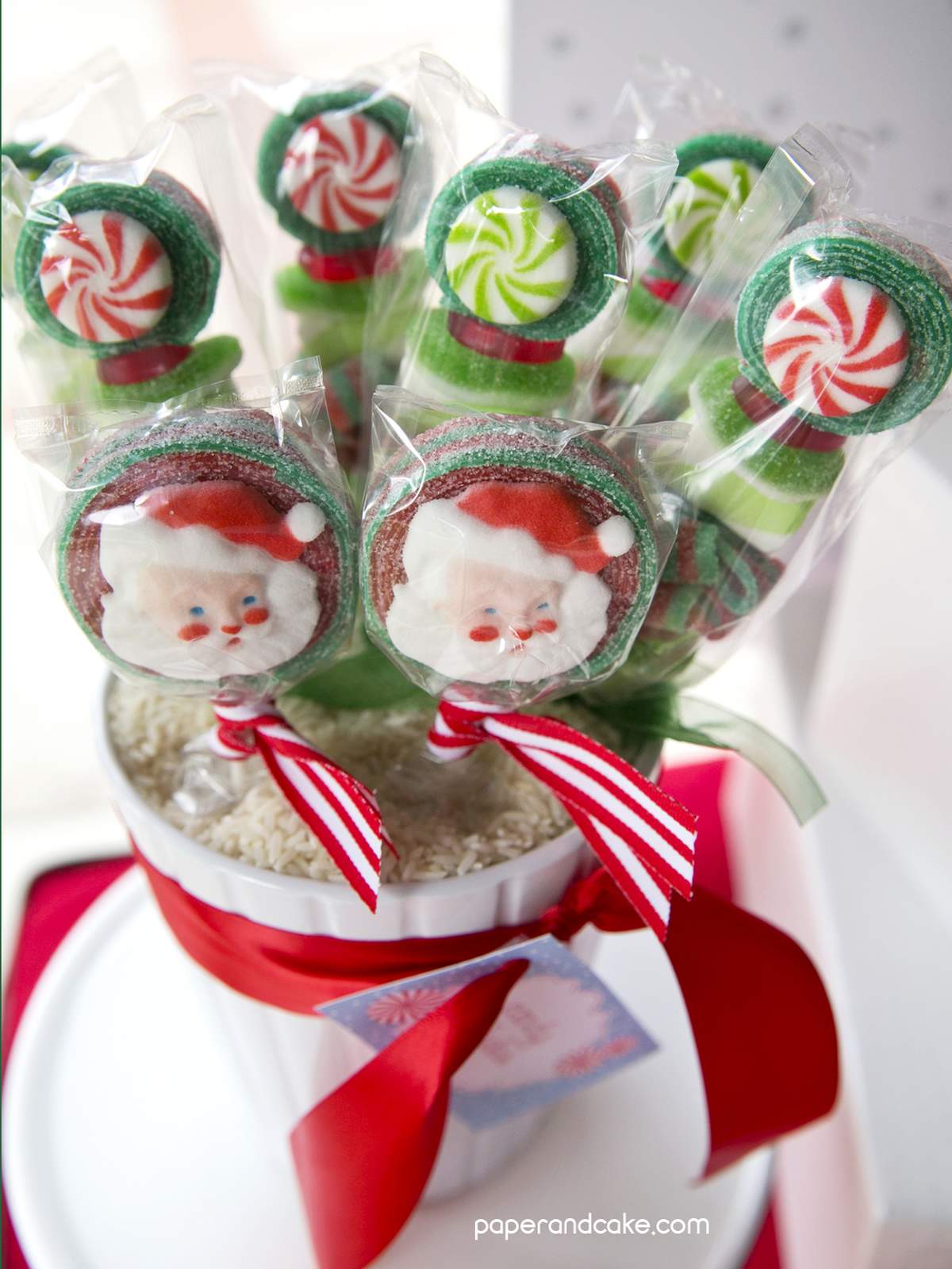 Plaid and Peppermint Santa Party Christmas/Holiday Party Ideas | Photo ...