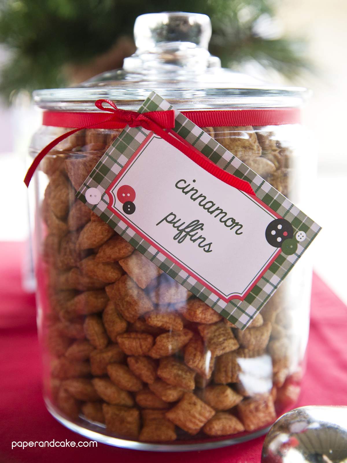 Plaid and Peppermint Santa Party Christmas/Holiday Party Ideas | Photo ...
