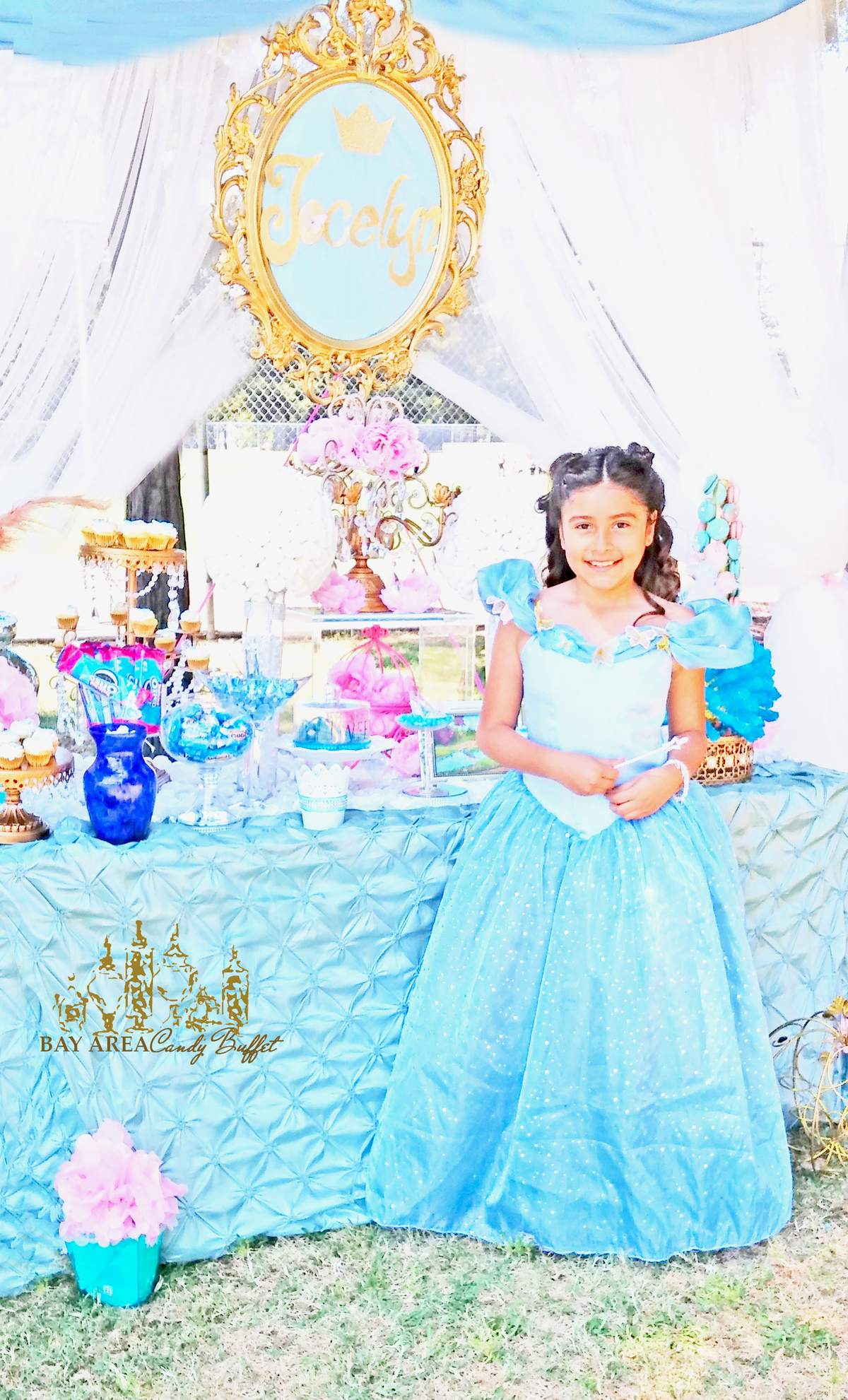Cinderella Birthday Party Ideas | Photo 12 of 23 | Catch My Party