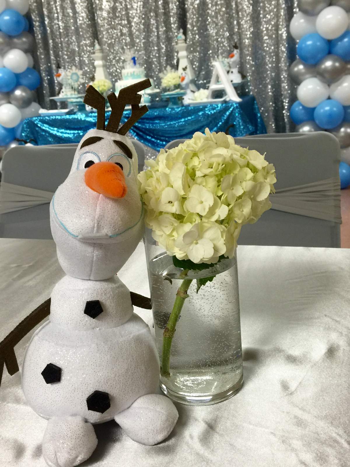 Winter & Olaf Birthday Party Ideas | Photo 1 of 19 | Catch My Party