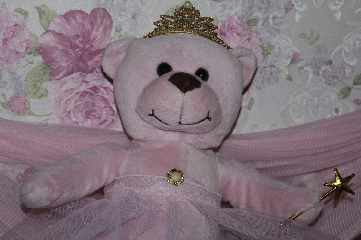 bears princess Birthday Party Ideas | Photo 32 of 42 | Catch My Party
