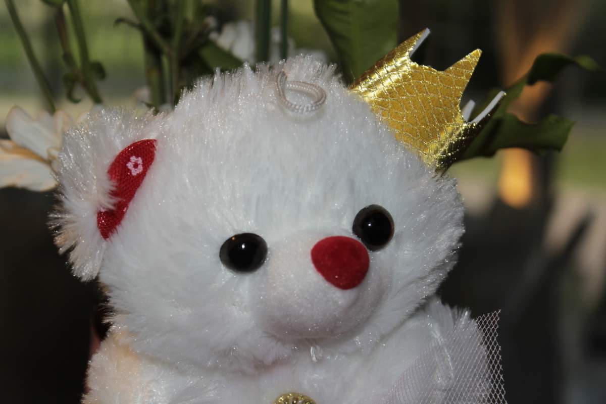 bears princess Birthday Party Ideas | Photo 32 of 42 | Catch My Party