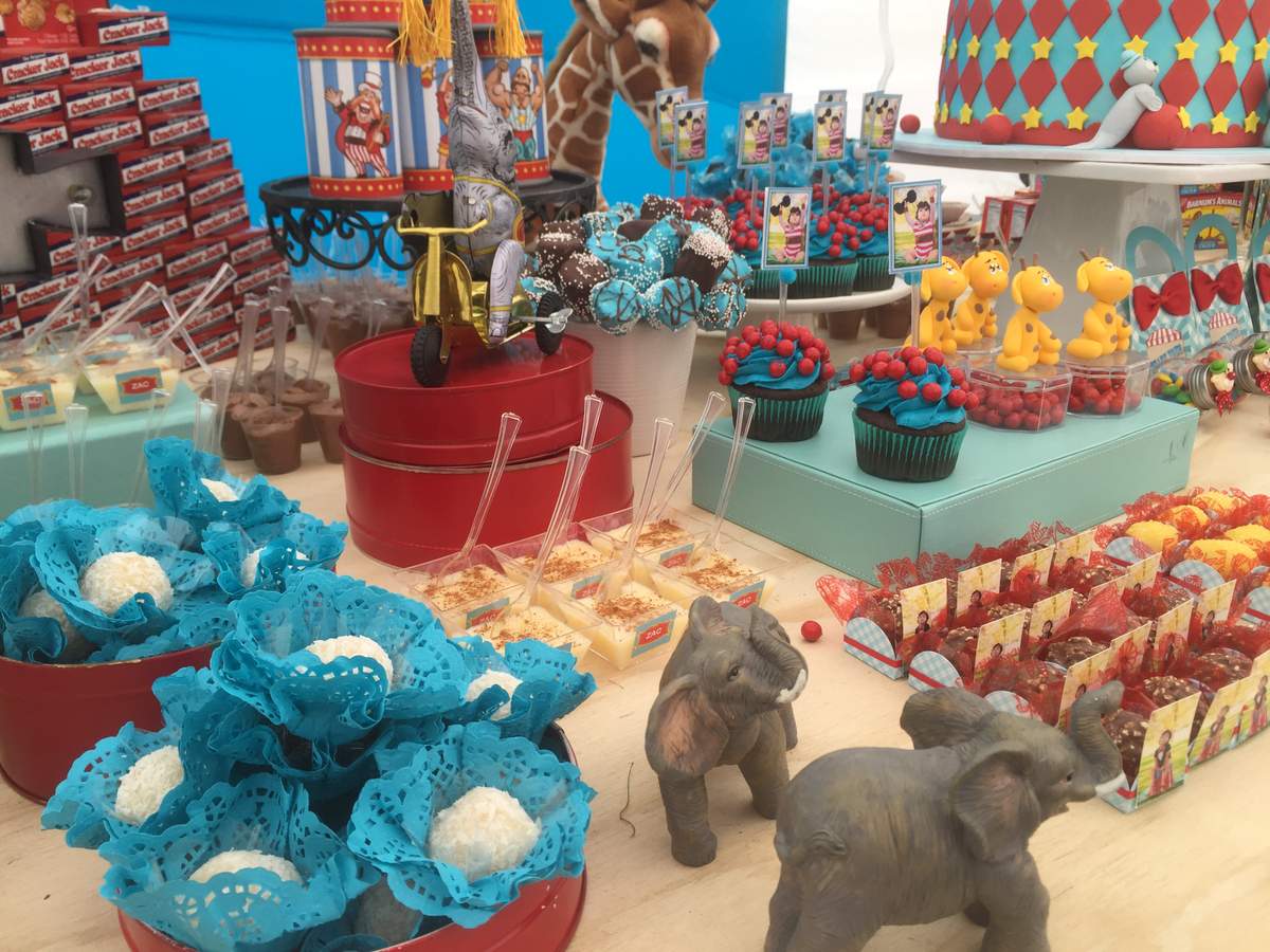 Circus farm theme Birthday Party Ideas | Photo 1 of 20 | Catch My Party