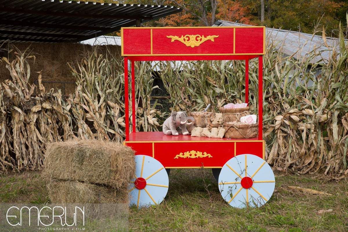 Circus farm theme Birthday Party Ideas | Photo 1 of 20 | Catch My Party