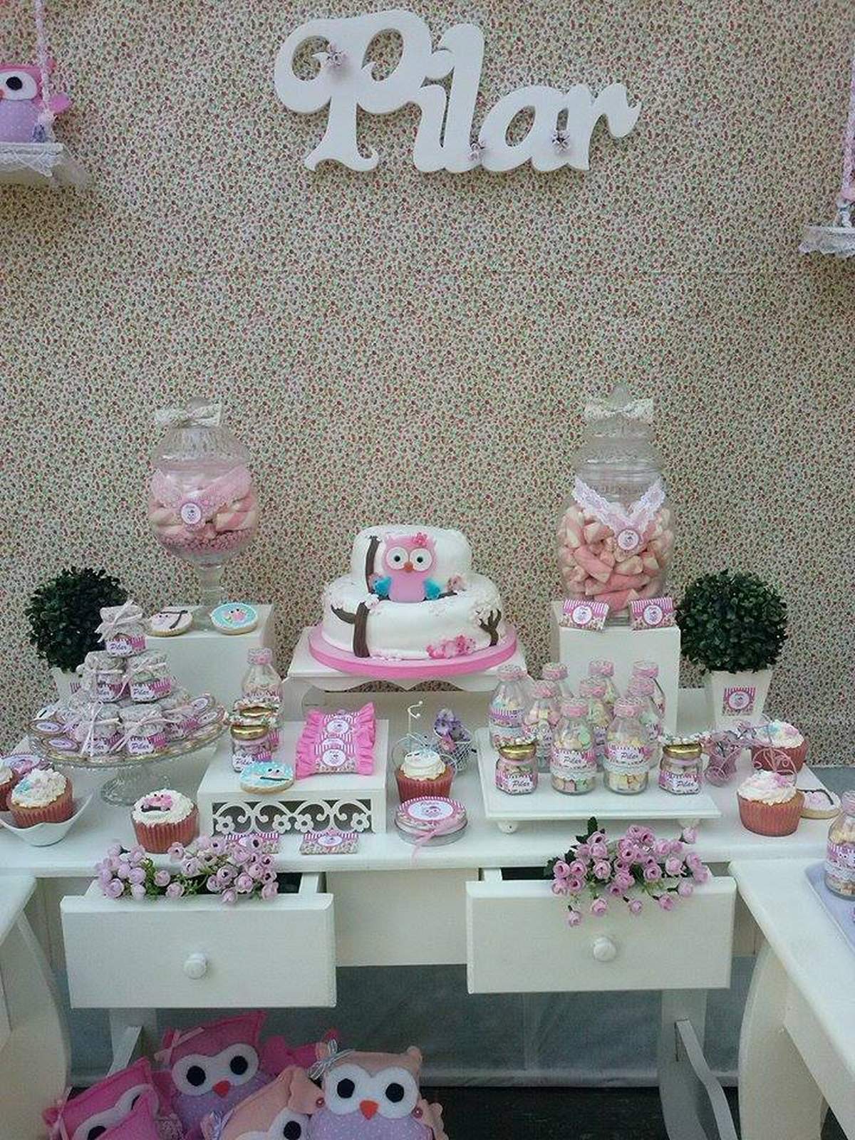Owls Birthday Party Ideas | Photo 7 of 26 | Catch My Party
