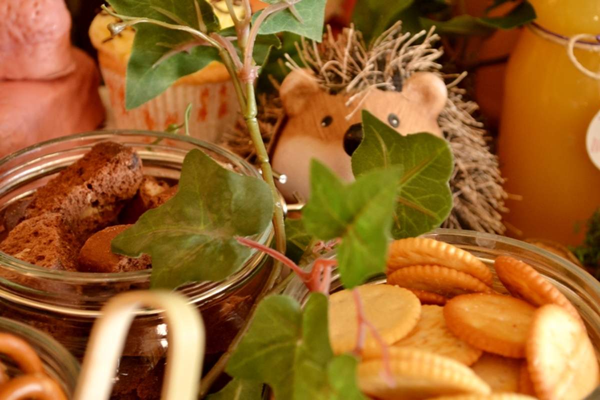 Forest Birthday Party Ideas | Photo 2 of 23 | Catch My Party