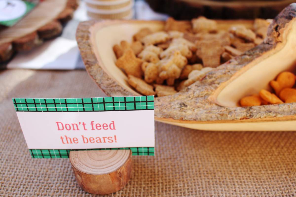 Lumberjack Birthday Party Ideas | Photo 9 of 31 | Catch My Party