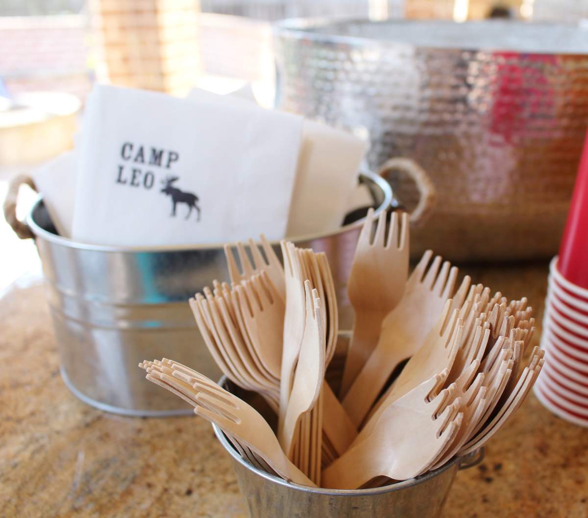 Lumberjack Birthday Party Ideas | Photo 1 of 31 | Catch My Party