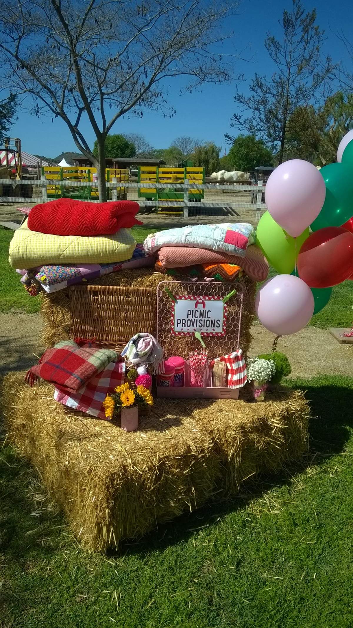 Farm Party Birthday Party Ideas | Photo 9 of 14 | Catch My Party