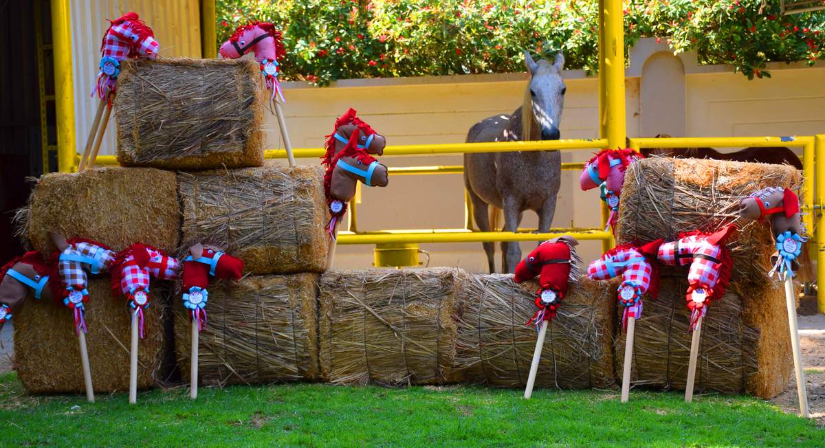 Rustic Horses Birthday Party Ideas | Photo 6 of 23 | Catch My Party