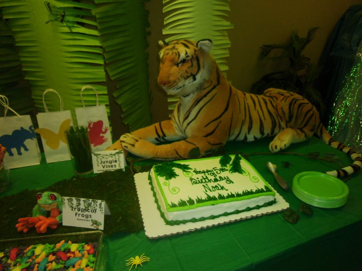 Rainforest / Jungle Birthday Party Ideas | Photo 1 of 40 | Catch My Party