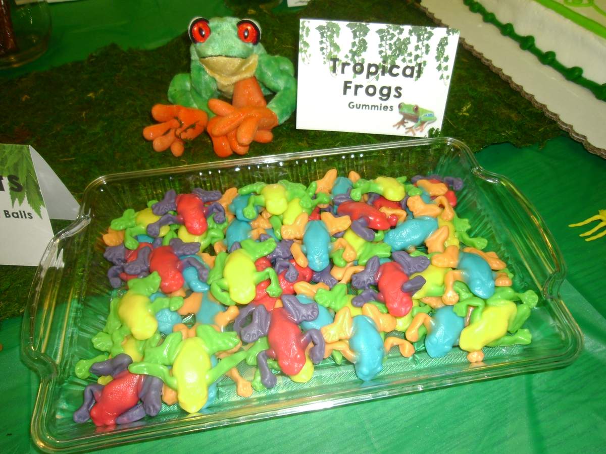 Rainforest / Jungle Birthday Party Ideas | Photo 1 of 40 | Catch My Party