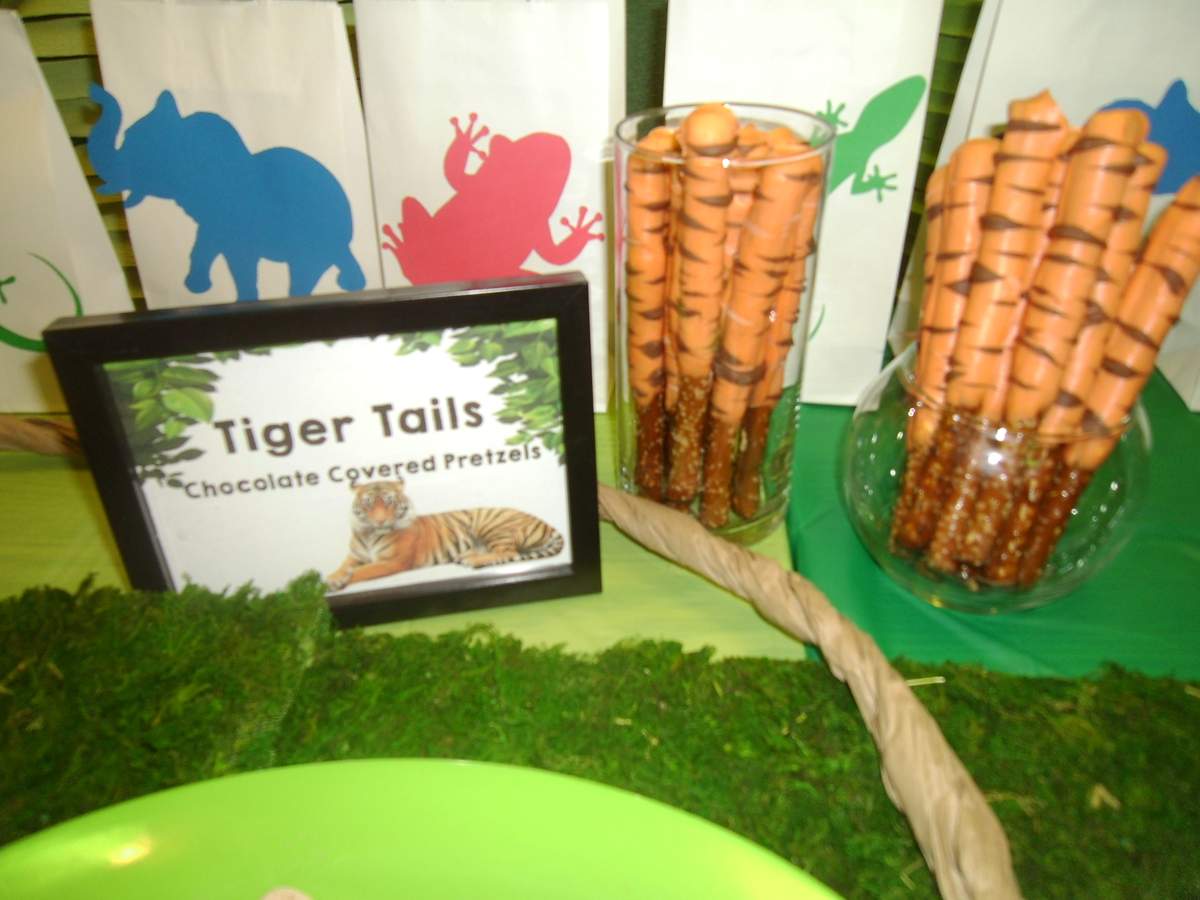 Rainforest / Jungle Birthday Party Ideas | Photo 1 of 40 | Catch My Party