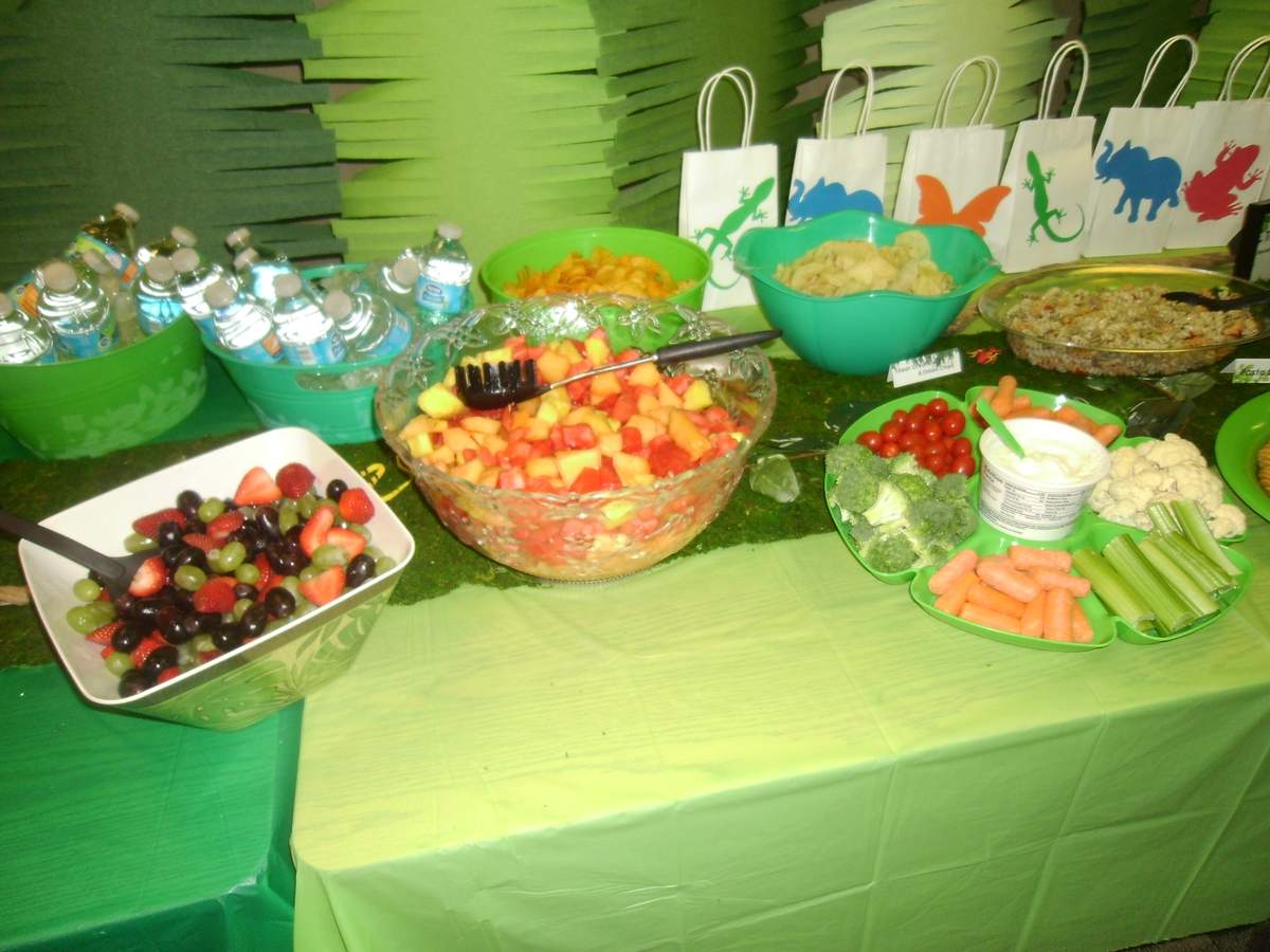 Rainforest / Jungle Birthday Party Ideas | Photo 1 of 40 | Catch My Party