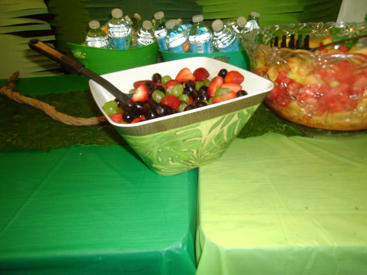 Rainforest / Jungle Birthday Party Ideas | Photo 1 of 40 | Catch My Party