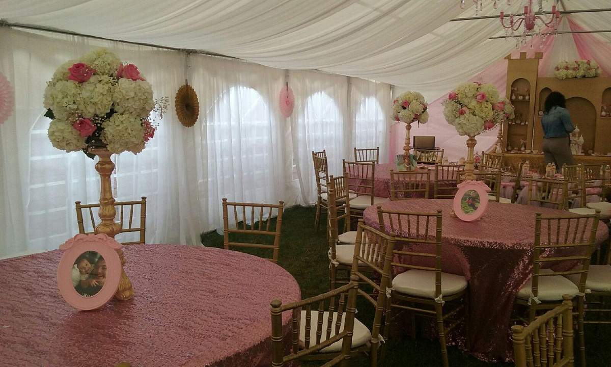 Royal princess Birthday Party Ideas | Photo 1 of 4 | Catch My Party