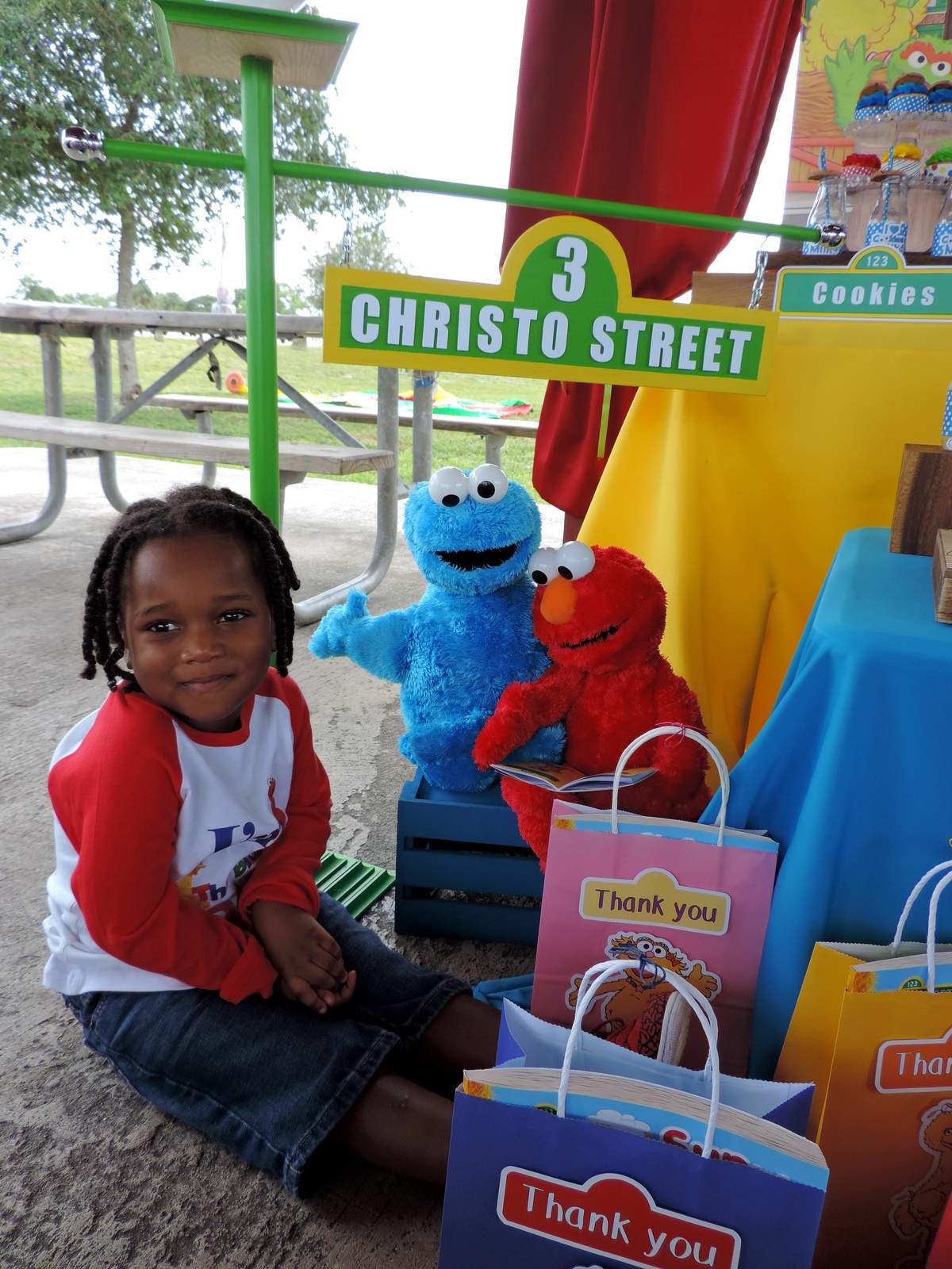 Sesame Street Birthday Party Ideas | Photo 55 of 67 | Catch My Party