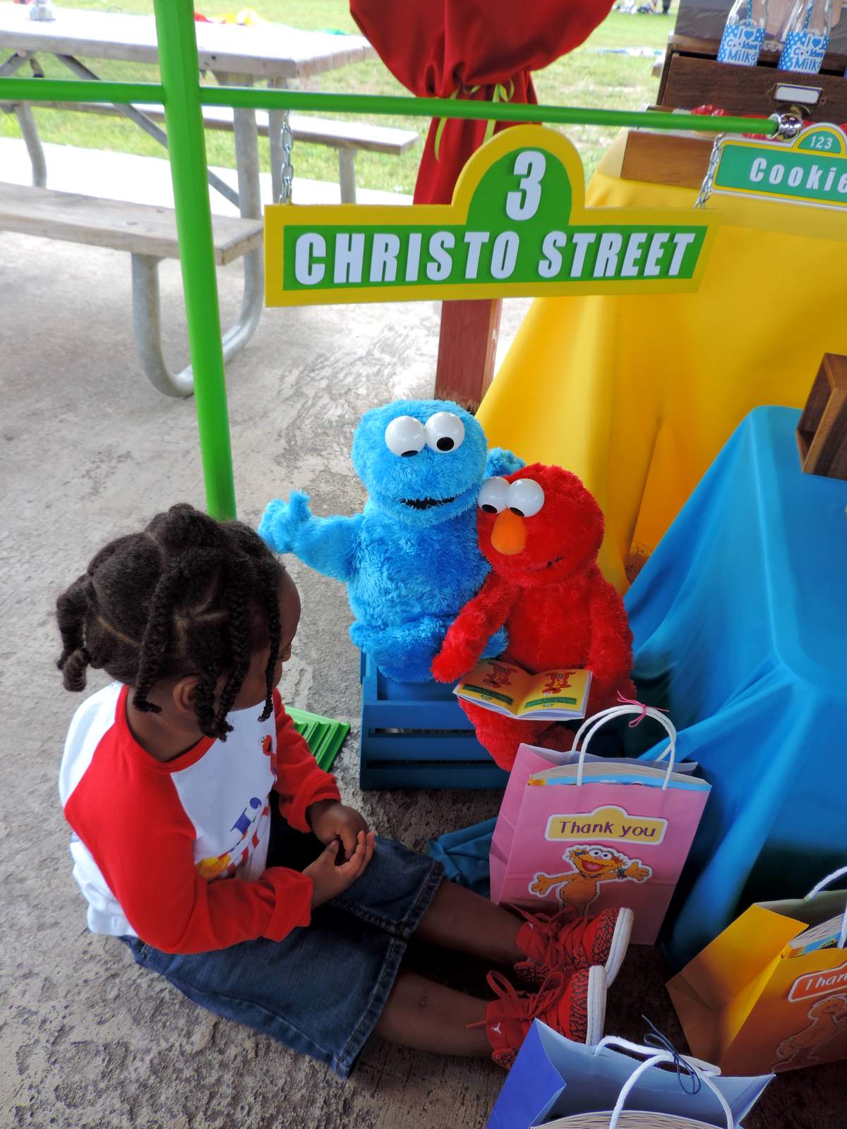 Sesame Street Birthday Party Ideas | Photo 55 of 67 | Catch My Party