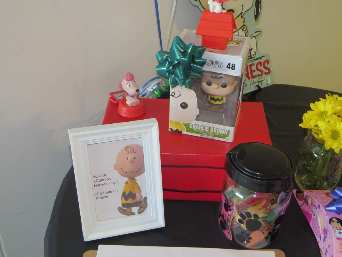 Peanuts & Snoopy Birthday Party Ideas | Photo 4 of 43 | Catch My Party