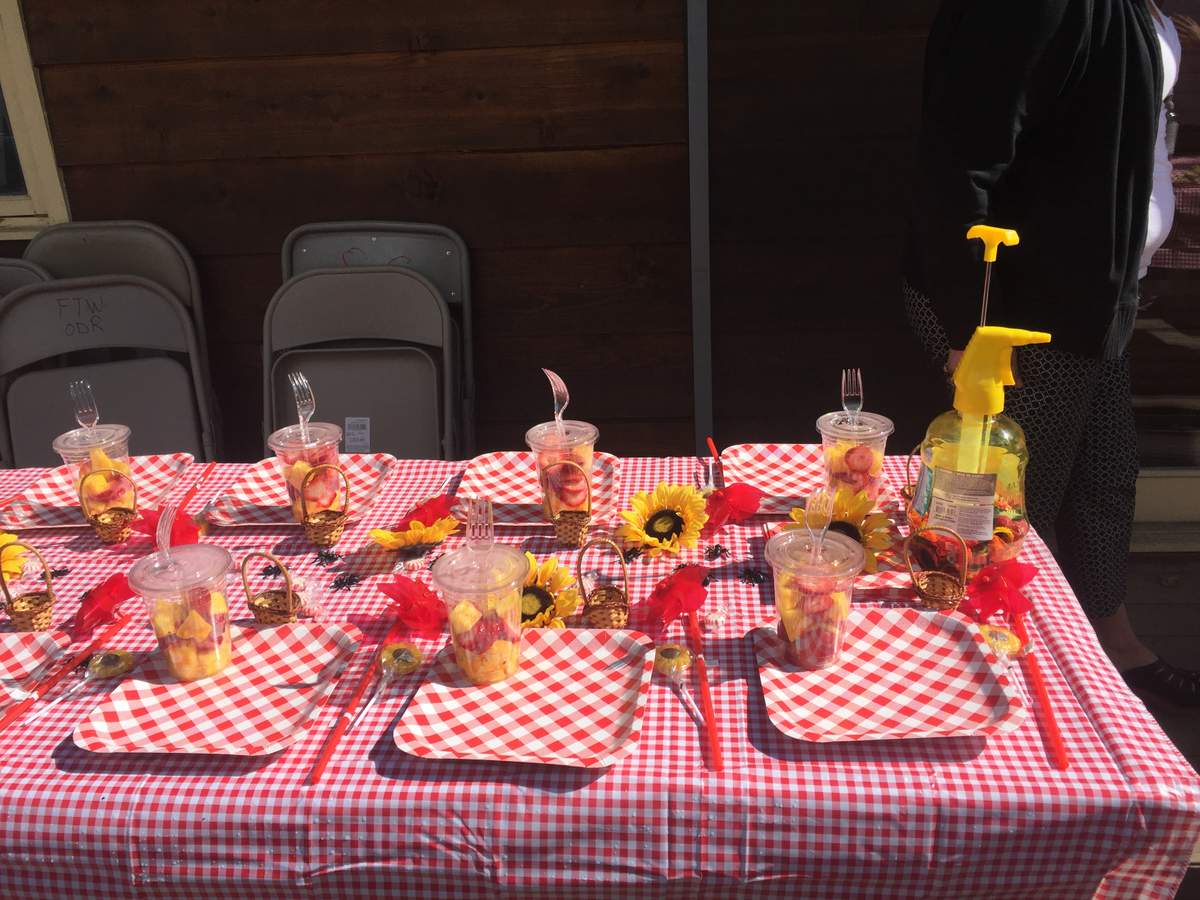 Retro picnic party / Birthday "Picnic party " | Catch My Party