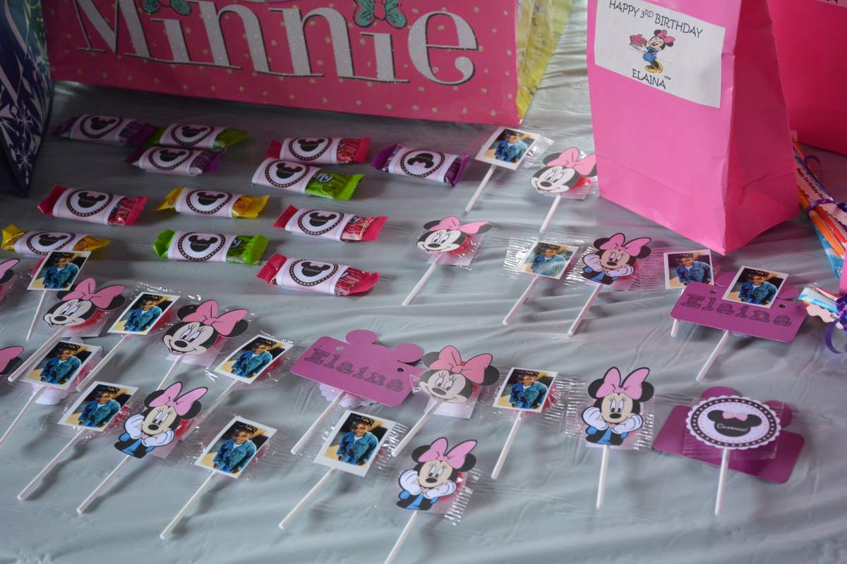 Minnie Mouse Picnic Birthday Party Ideas | Photo 16 of 35 | Catch My Party