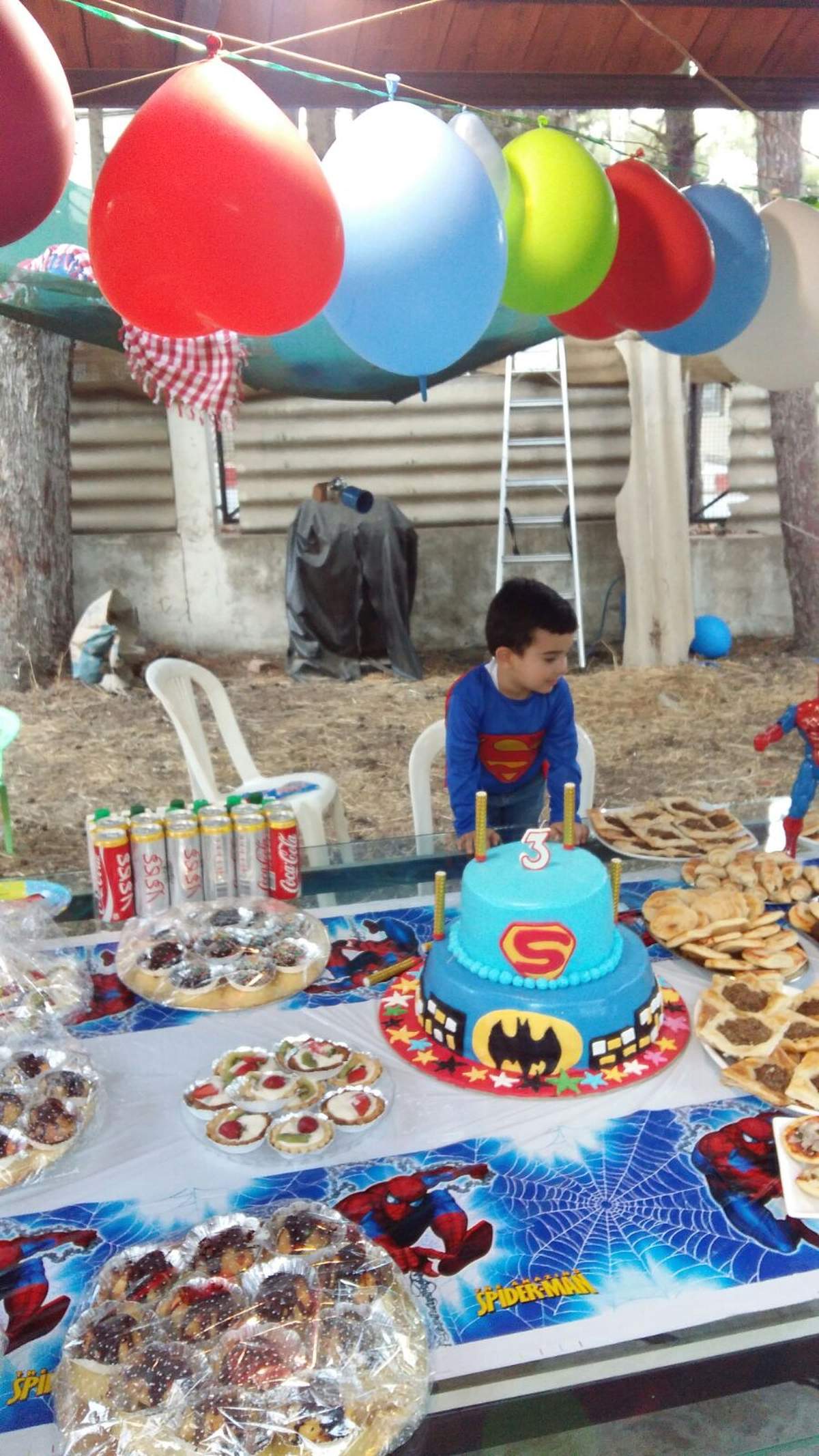 Superman Birthday Party Ideas | Photo 1 of 8 | Catch My Party