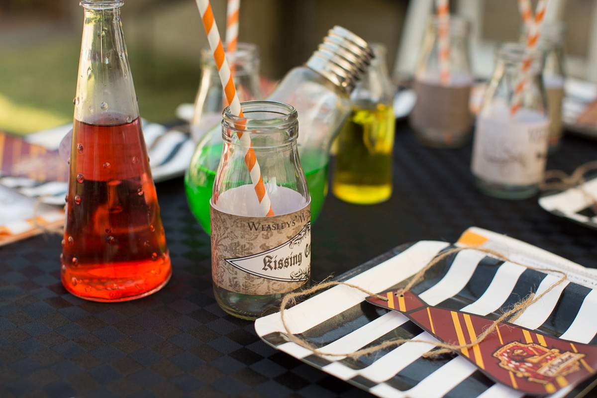 Harry Party Birthday Party Ideas | Photo 8 of 16 | Catch My Party