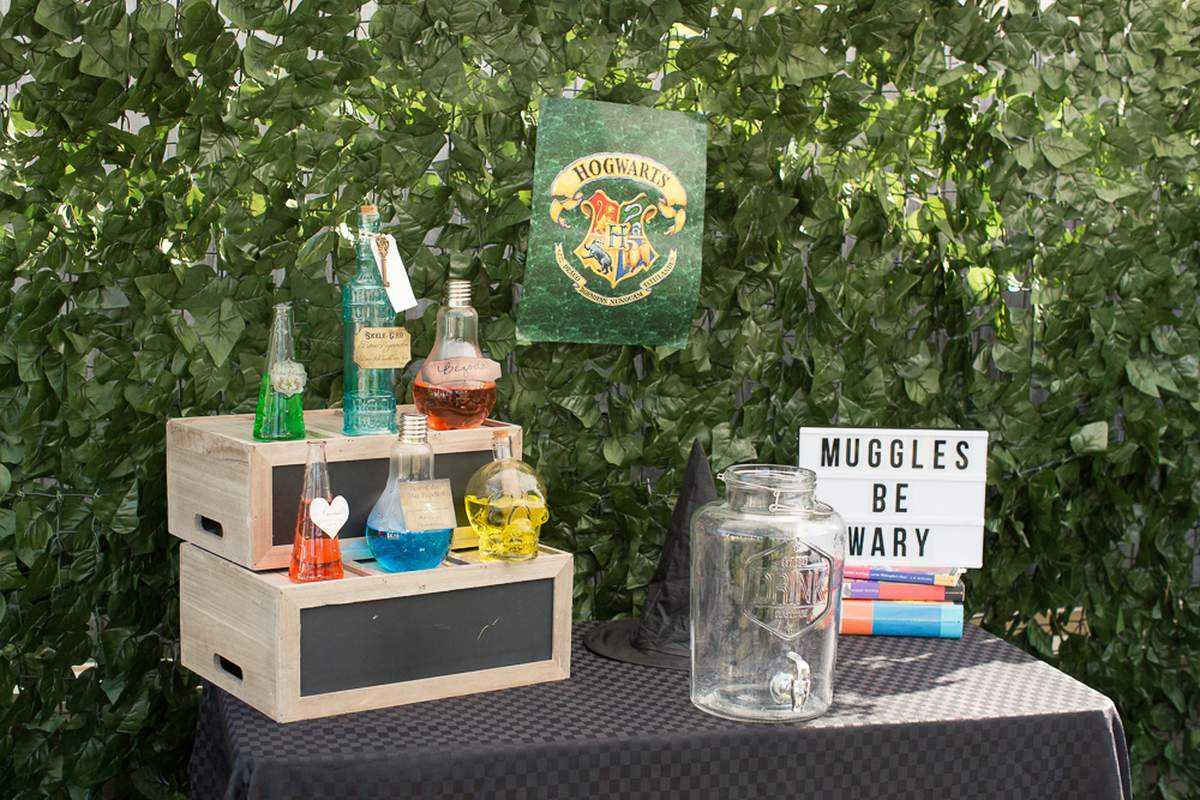 Harry Party Birthday Party Ideas | Photo 8 of 16 | Catch My Party