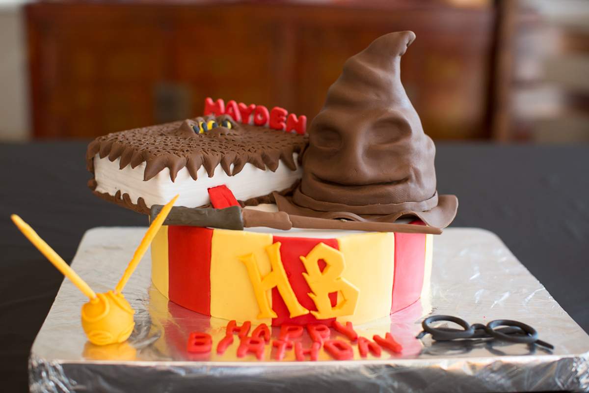 Harry Party Birthday Party Ideas | Photo 8 of 16 | Catch My Party