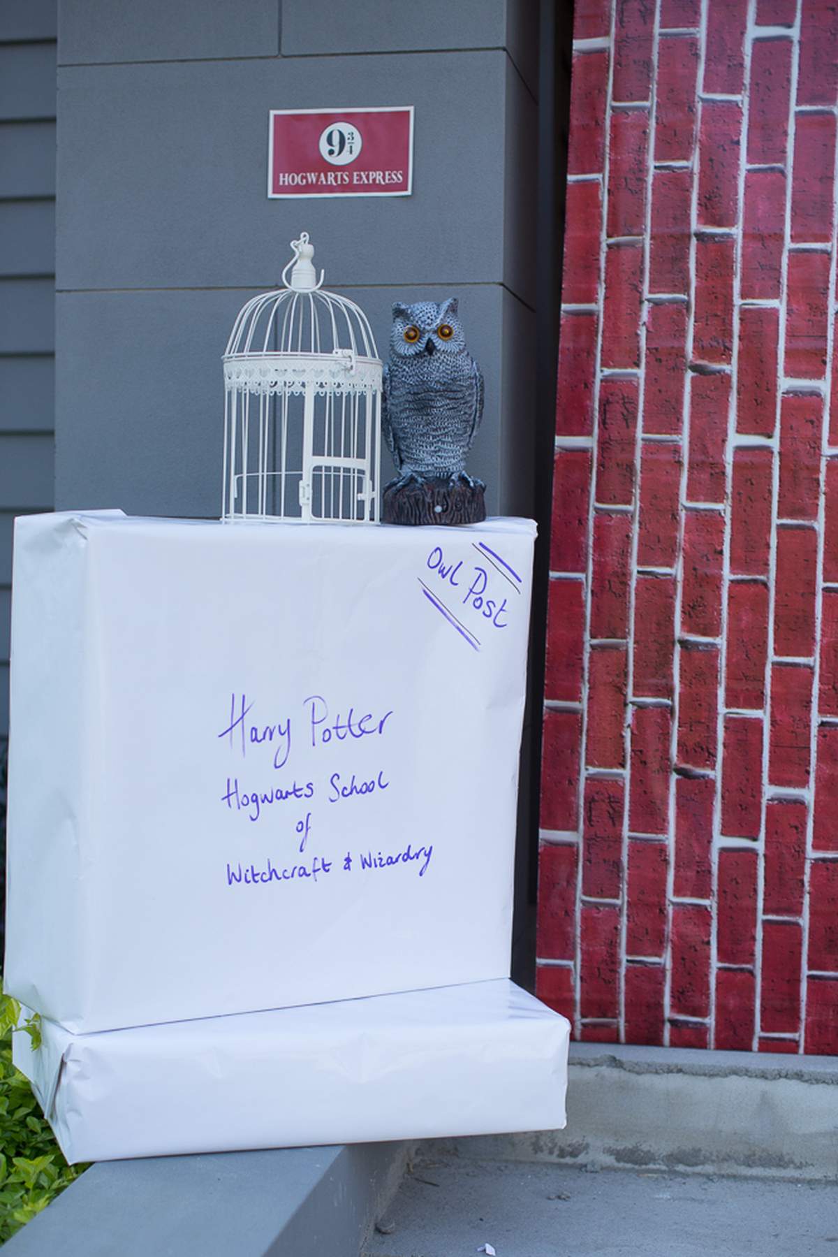 Harry Party Birthday Party Ideas | Photo 8 of 16 | Catch My Party