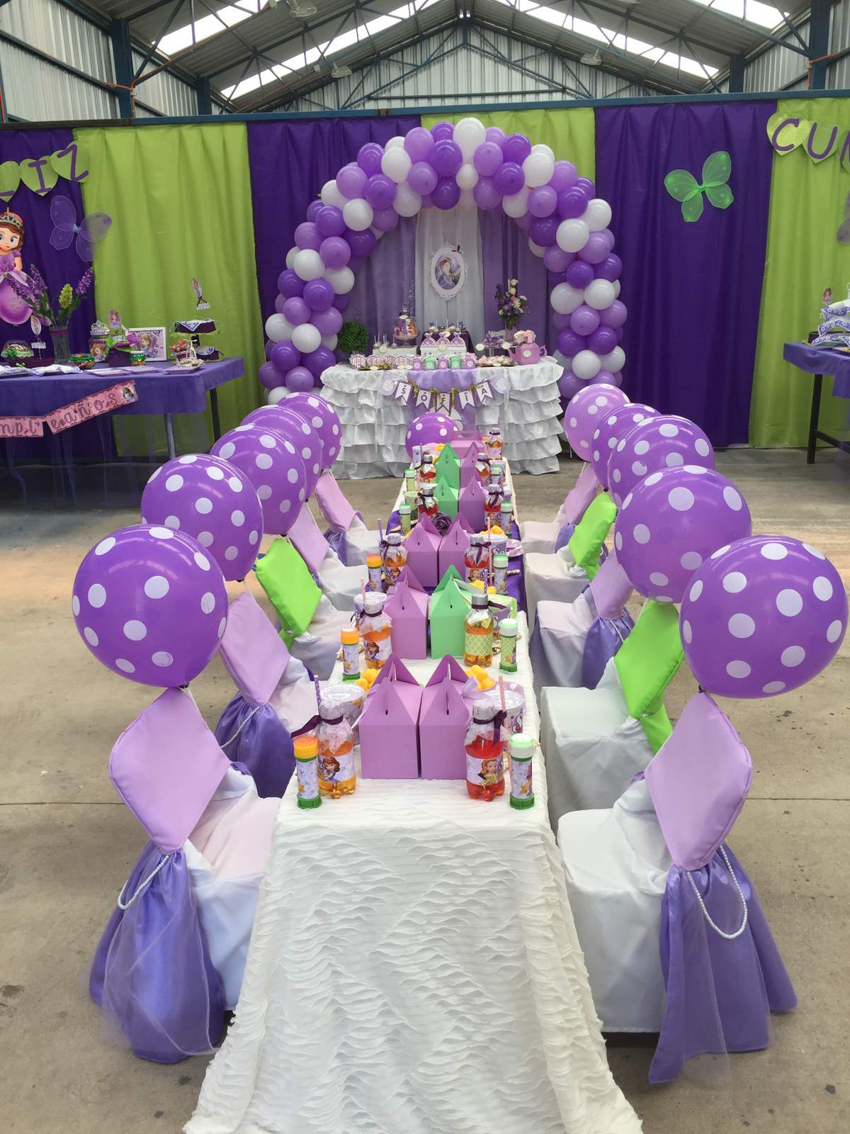Sofia the First / Birthday " Princess Sofia delicate party" | Catch My ...