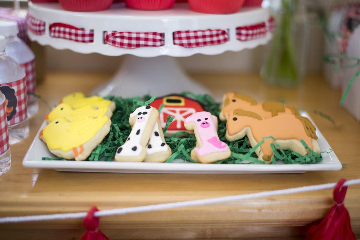 First Birthday Farm Birthday Party Ideas | Photo 55 of 62 | Catch My Party