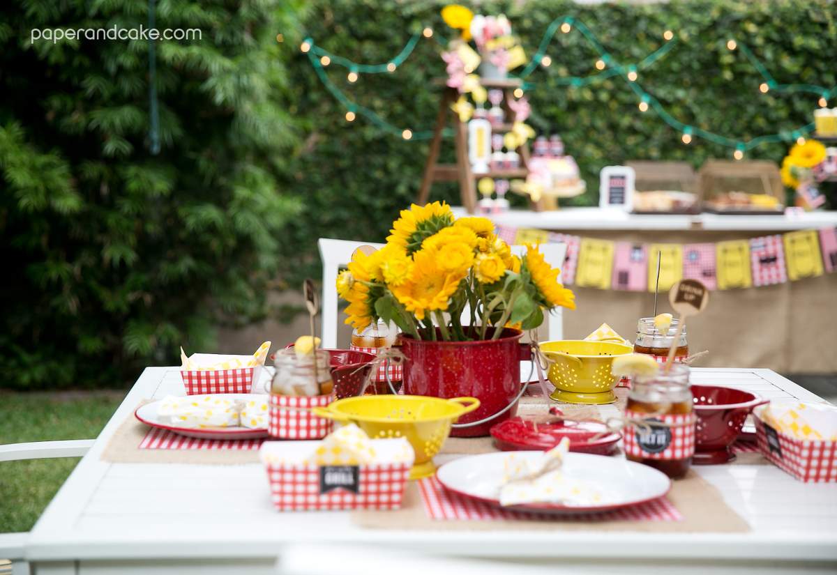 Gingham and Mason Jars Birthday Party Ideas | Photo 1 of 19 | Catch My ...