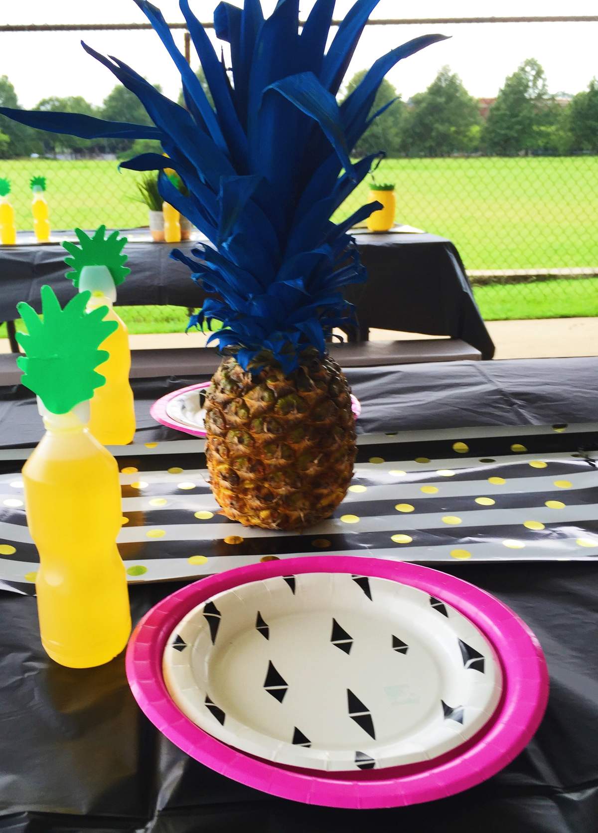 Pineapple Birthday Party Ideas | Photo 1 of 20 | Catch My Party