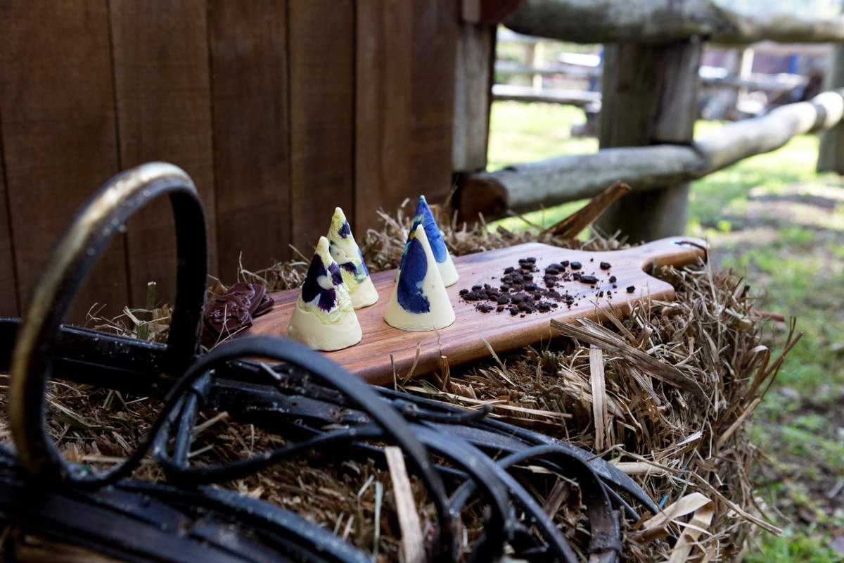 Spring Racing Melbourne Cup Party Ideas | Photo 8 of 23 | Catch My Party